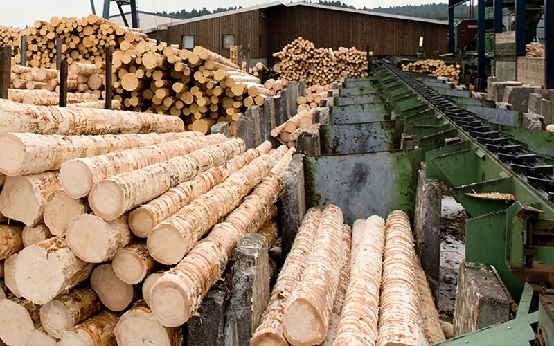 China 81X Chain 81X Conveyor Chain 81X Lumber Conveyor Chain ...